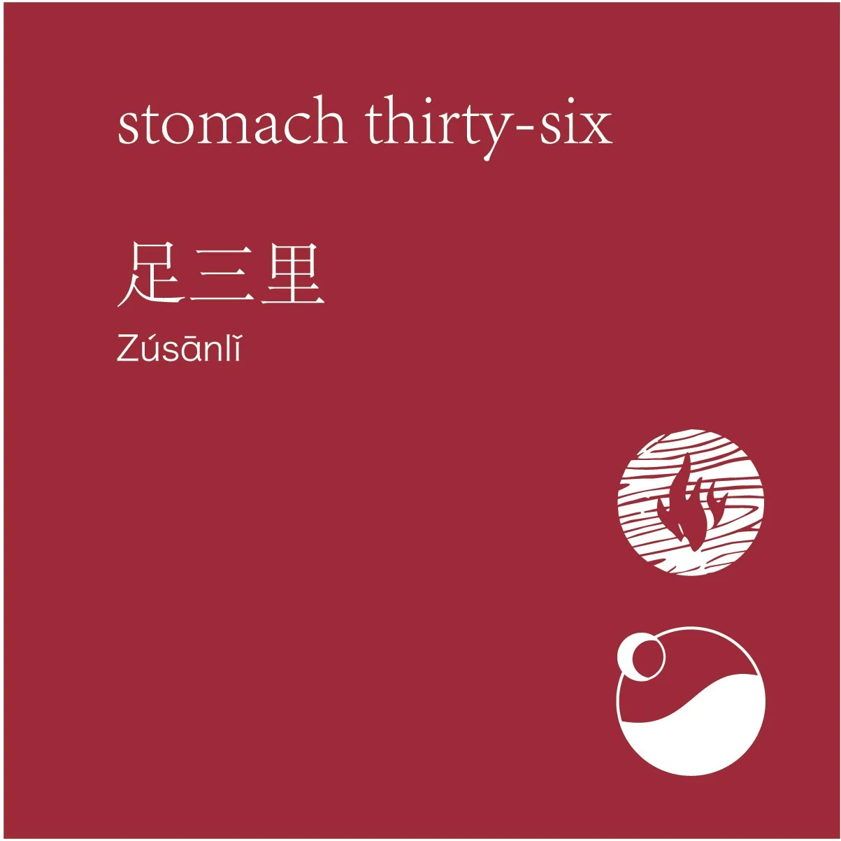 Stomach 36 Acupressure — MOON RIVER ACUPUNCTURE CLINIC