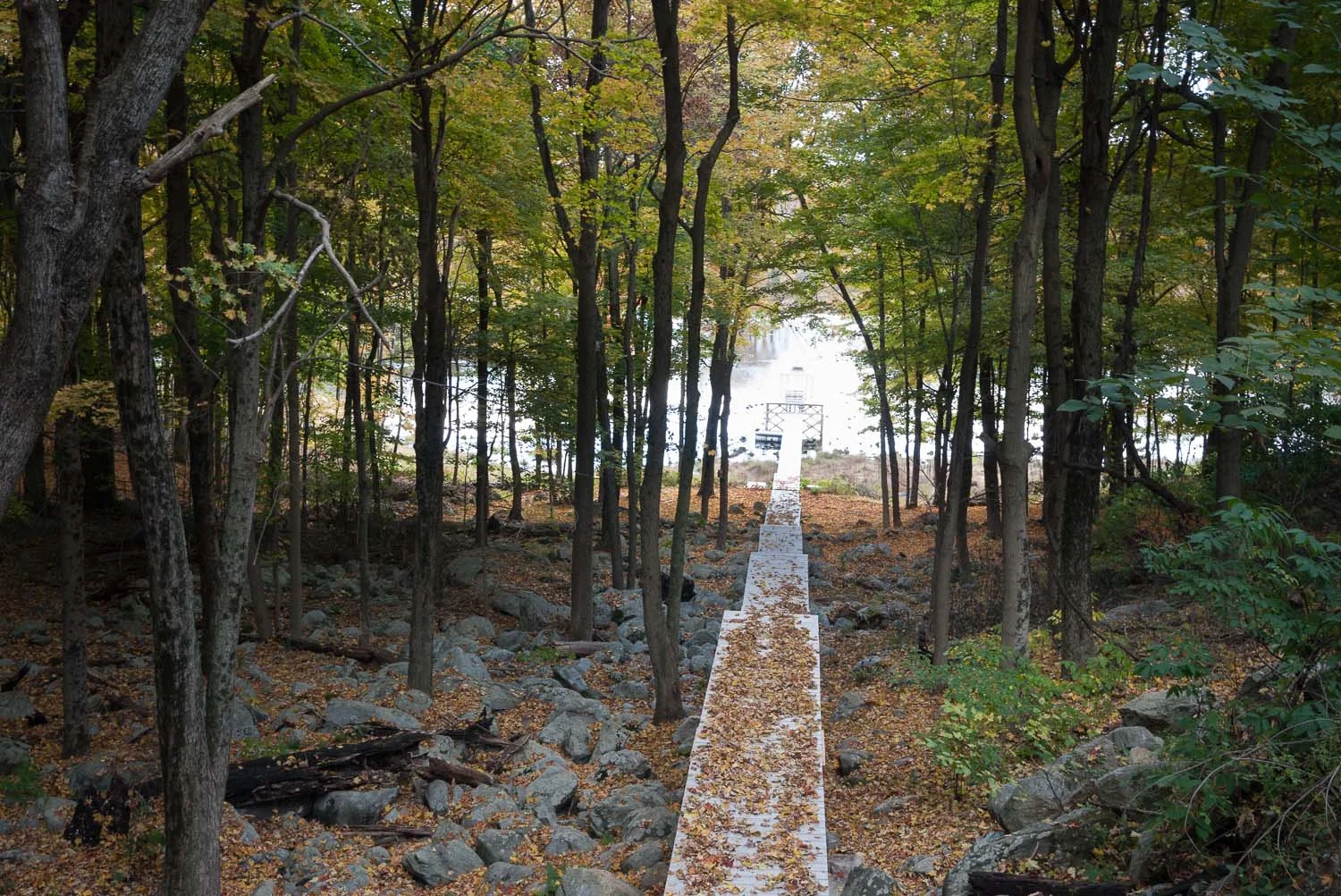Nature — Crystal Foundation | Crystal Park
