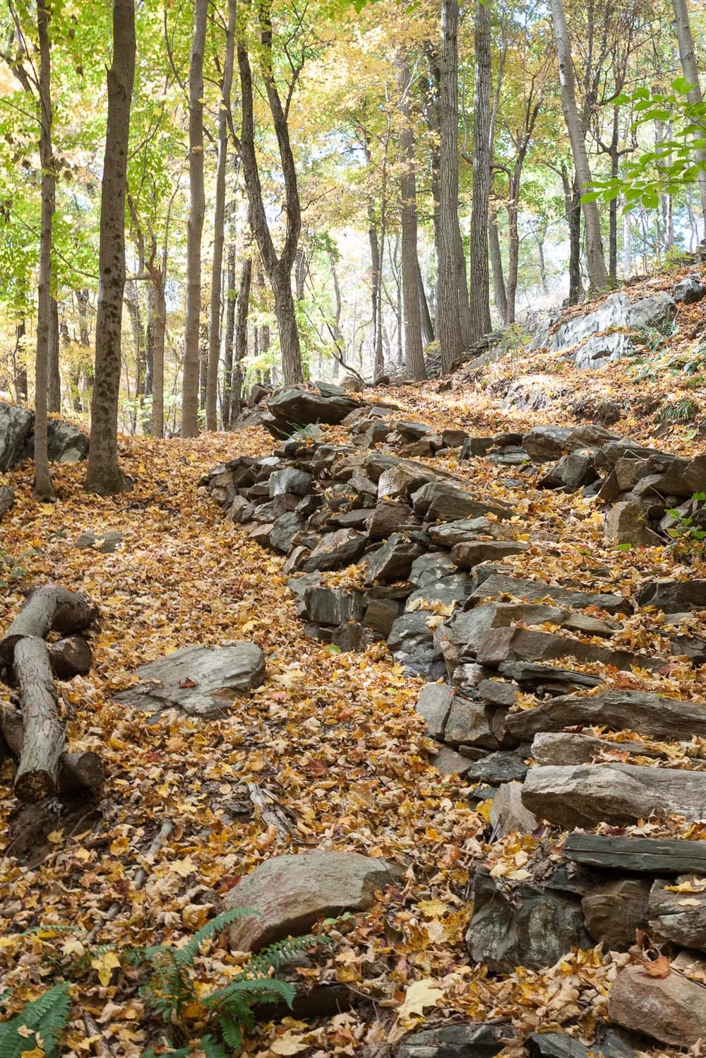Nature — Crystal Foundation | Crystal Park