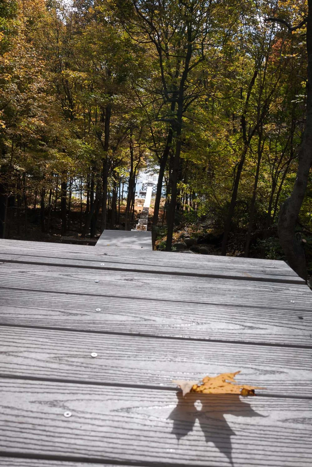 Nature — Crystal Foundation | Crystal Park