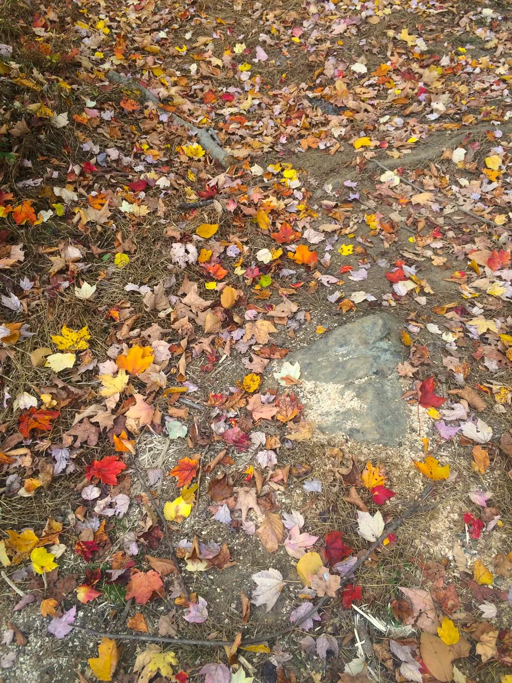 Nature — Crystal Foundation | Crystal Park