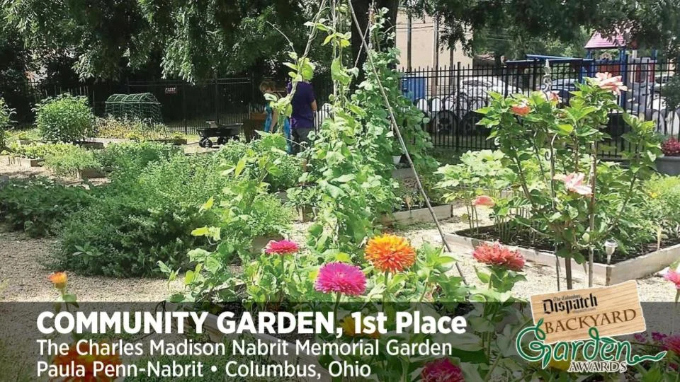 Backyard Garden Award Winners — Dispatch Shows