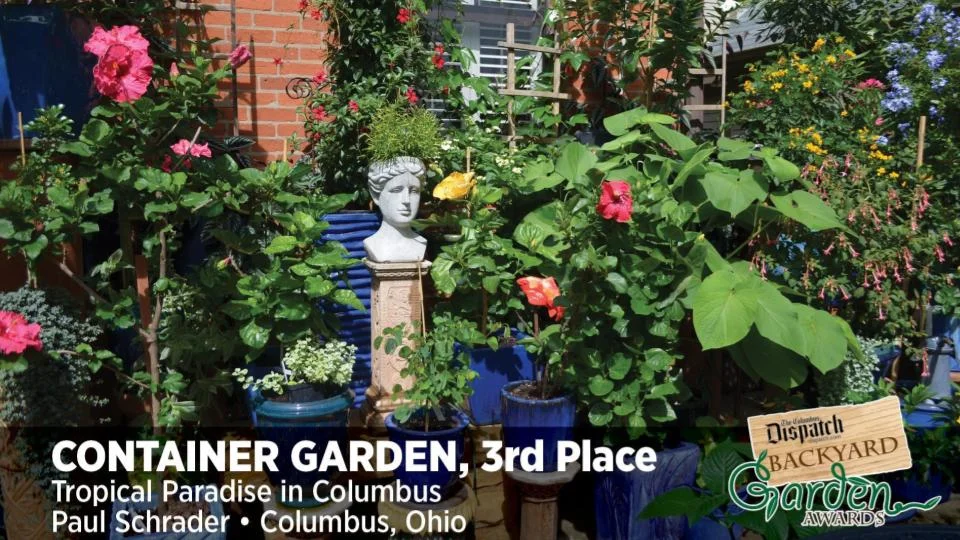 Backyard Garden Award Winners — Dispatch Shows