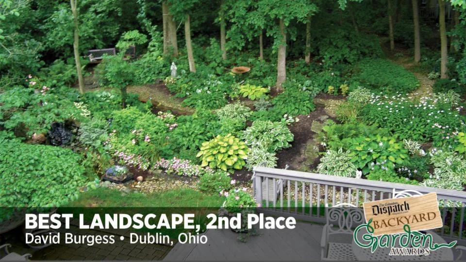 Backyard Garden Award Winners — Dispatch Shows