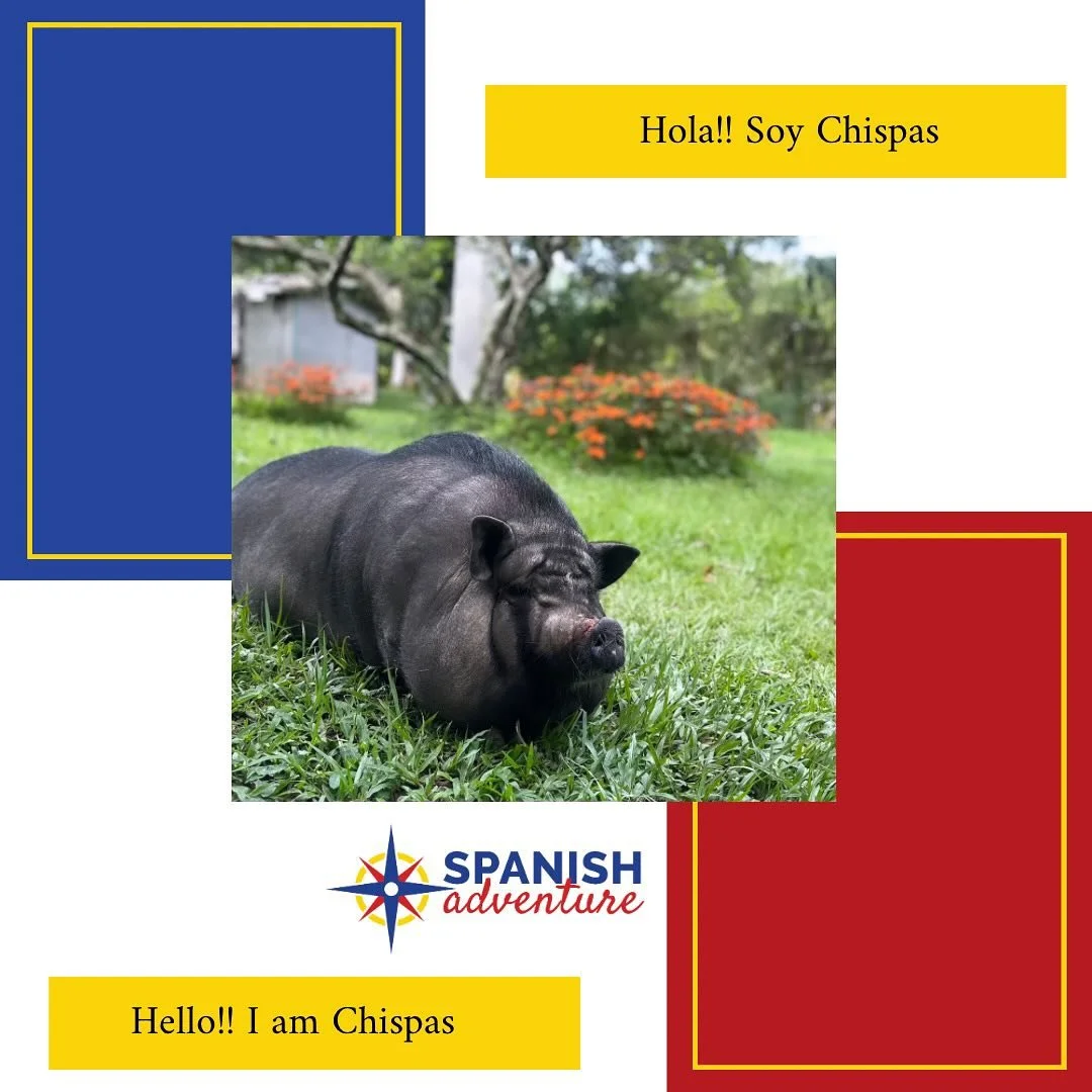 Spanish Adventure | Colombia Spanish School off the Beaten Track