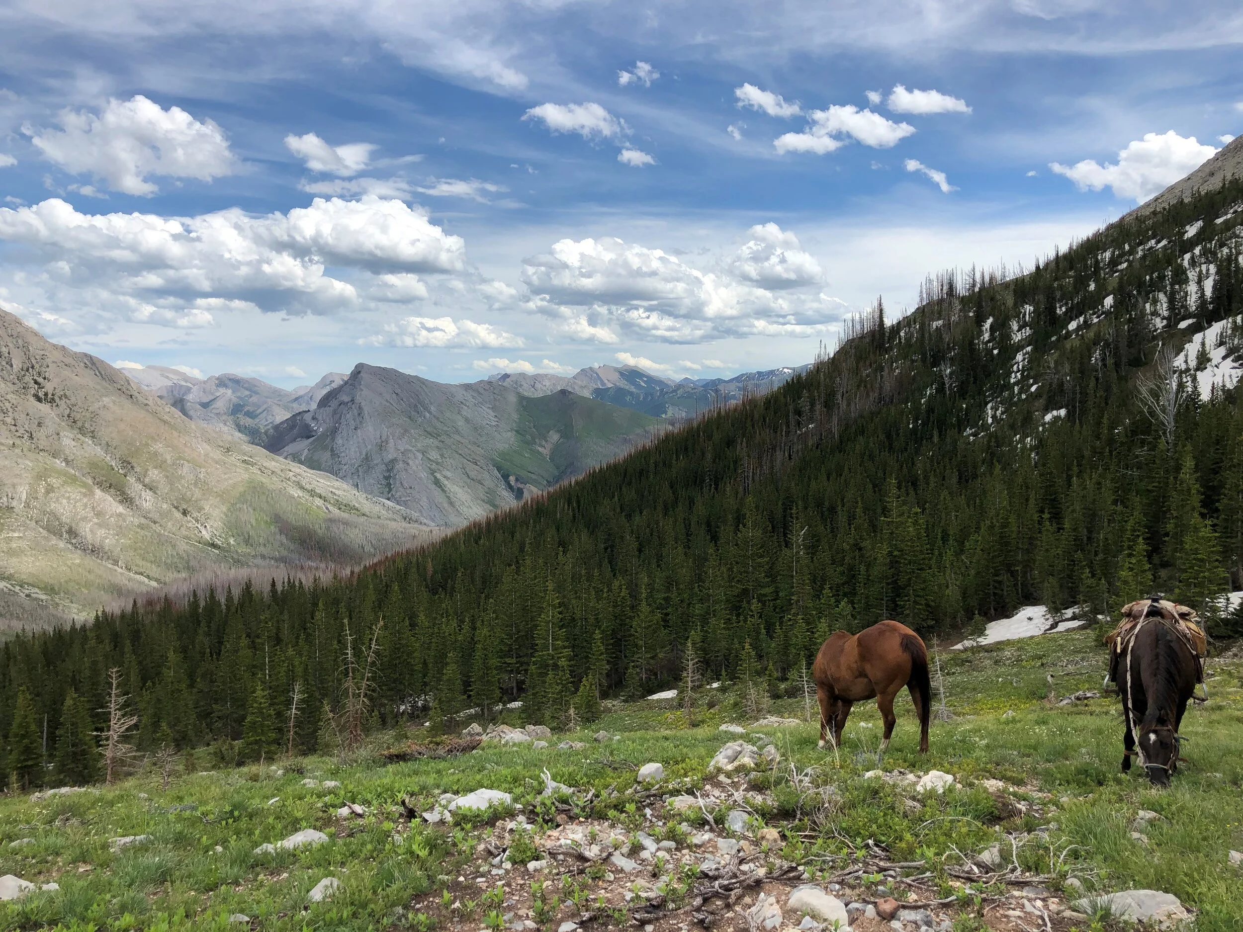 Badger-Two Medicine Cultural Heritage Act — A Land of Grass Ranch
