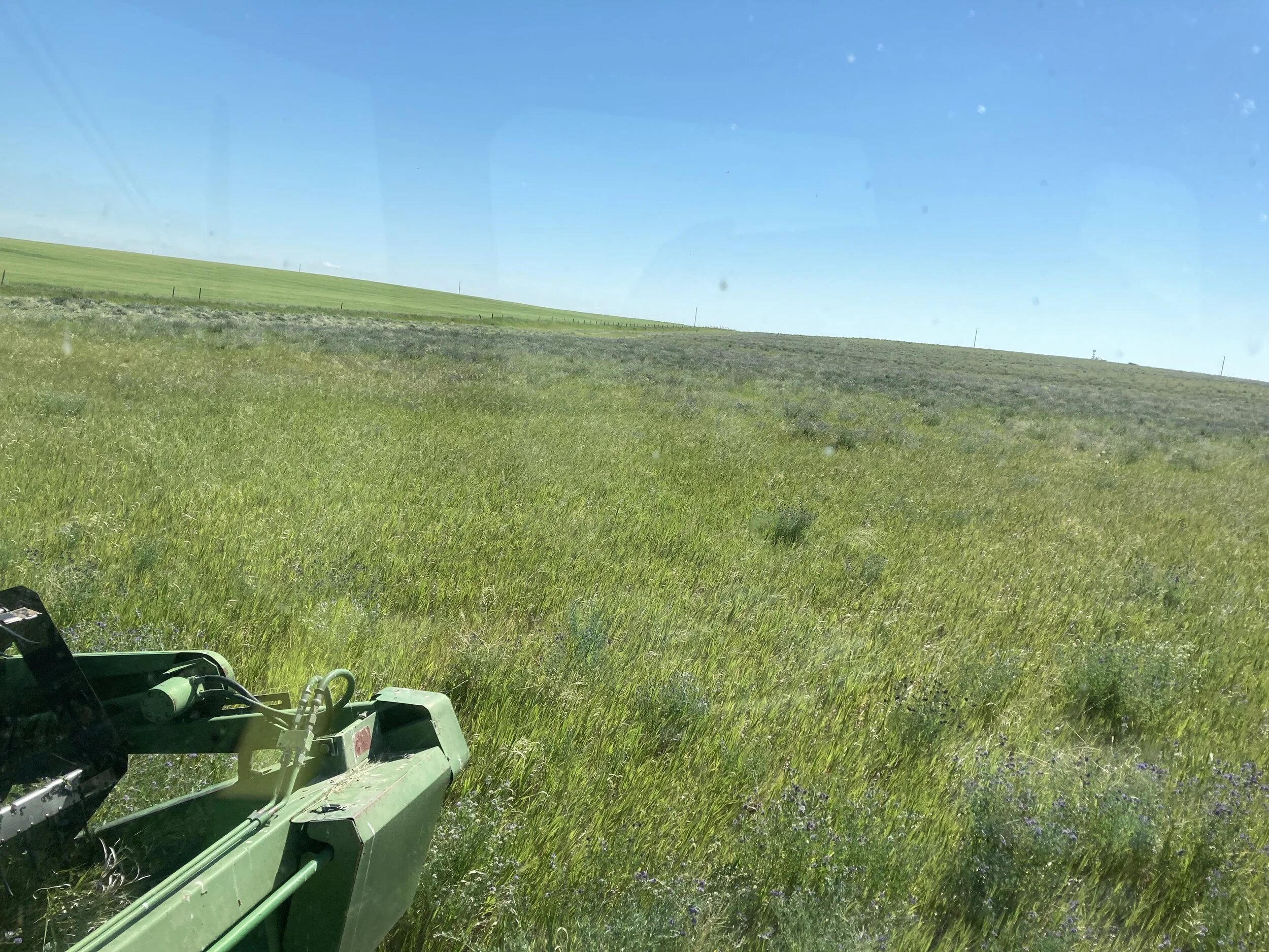 Swathing Hay — A Land of Grass Ranch