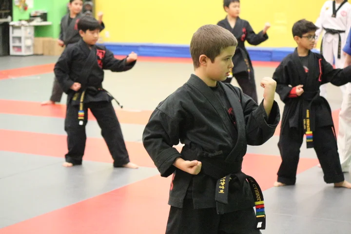 TIGERS MARTIAL ARTS GROUP