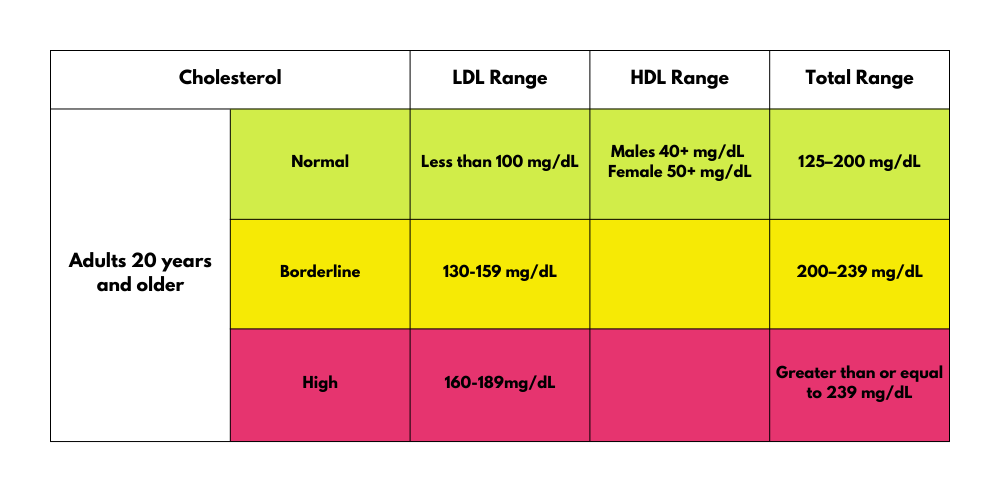 Understanding Cholesterol - Get Me Fitter Gym