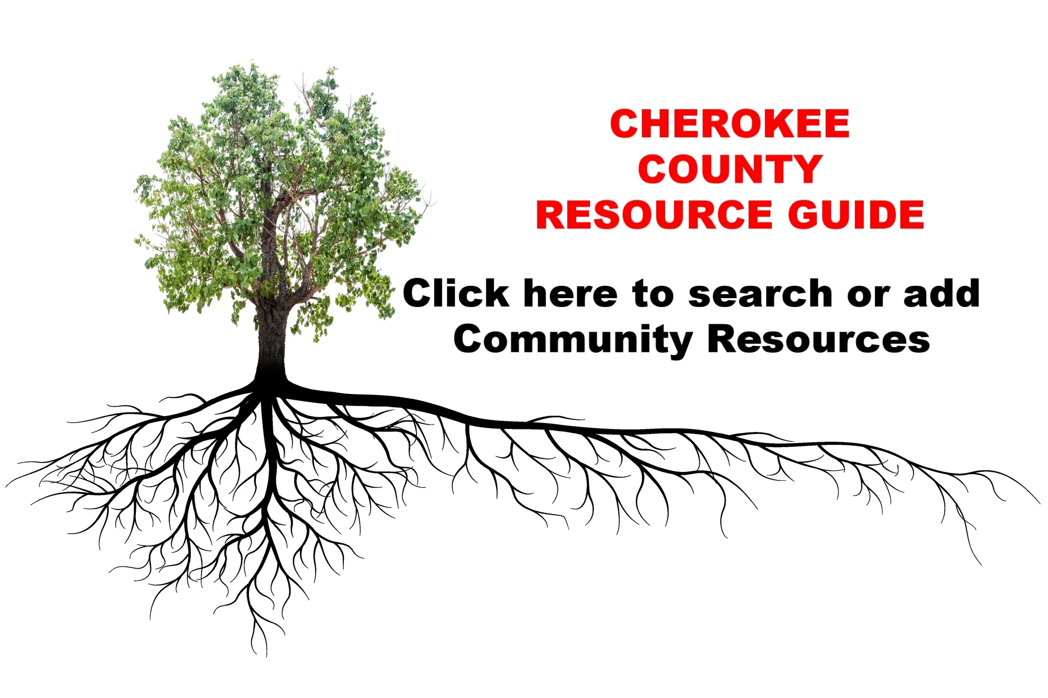 Resource Guide — FOCUS