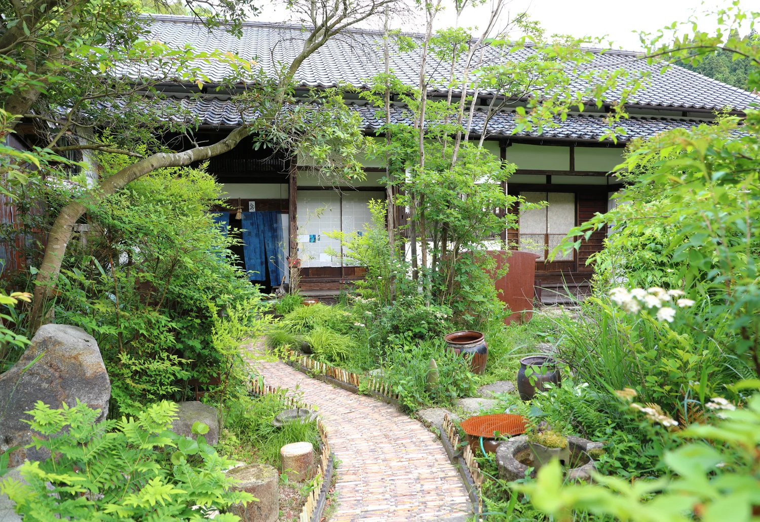 Takyo Abeke — OISHI SO JAPAN