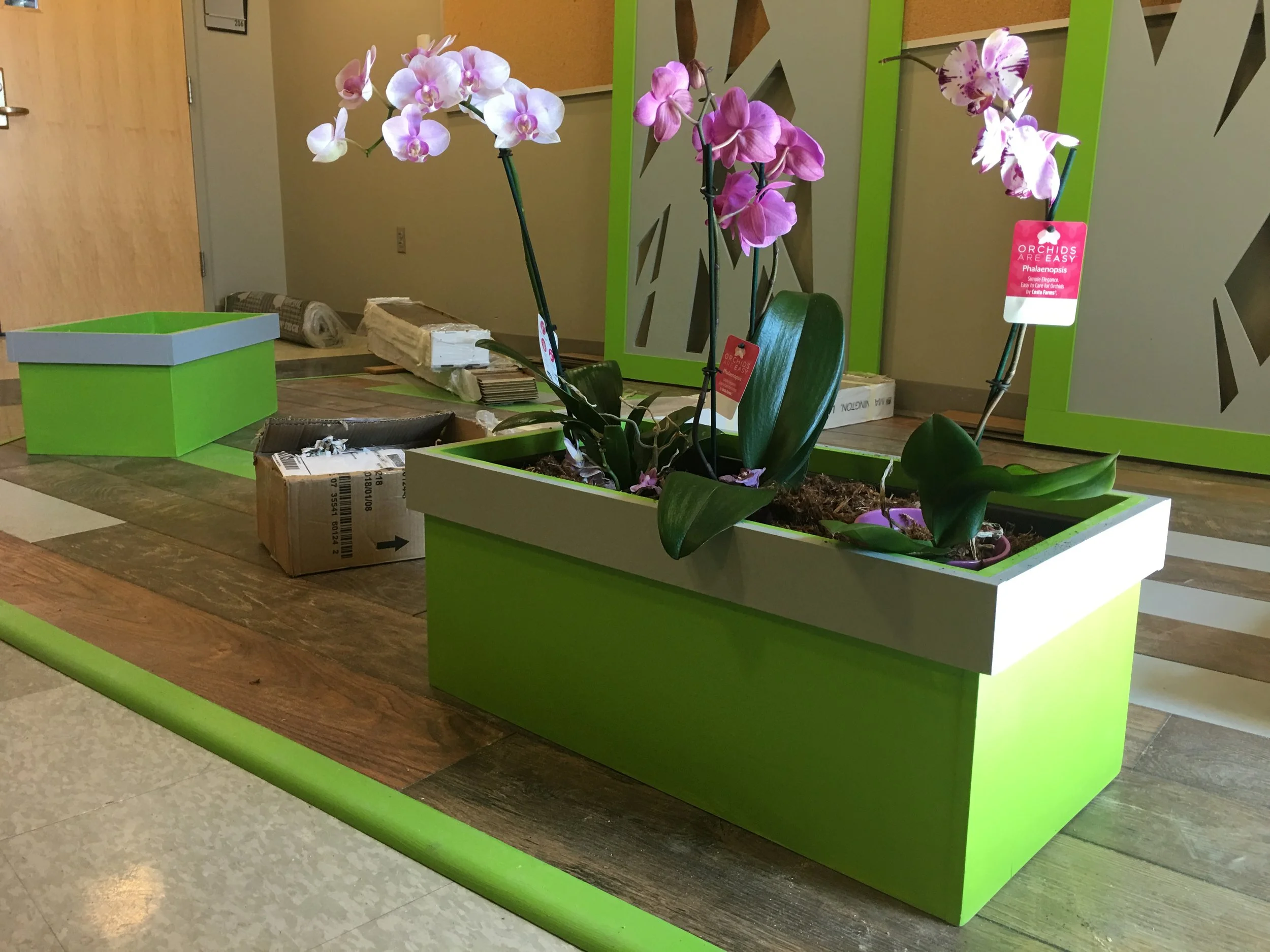 Life space — Evan Lecy