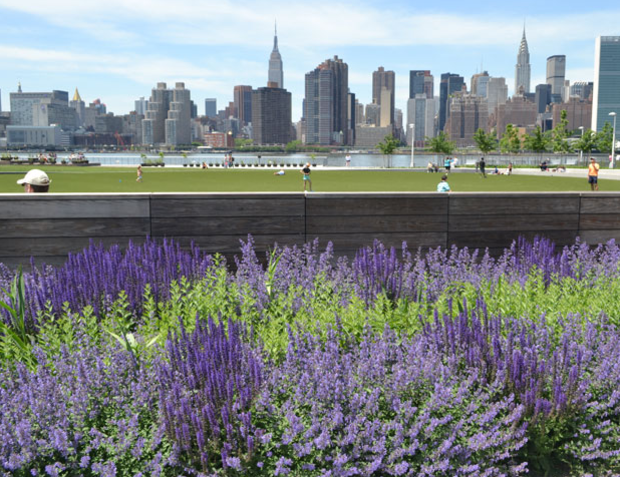 Hunters Point Parks Conservancy