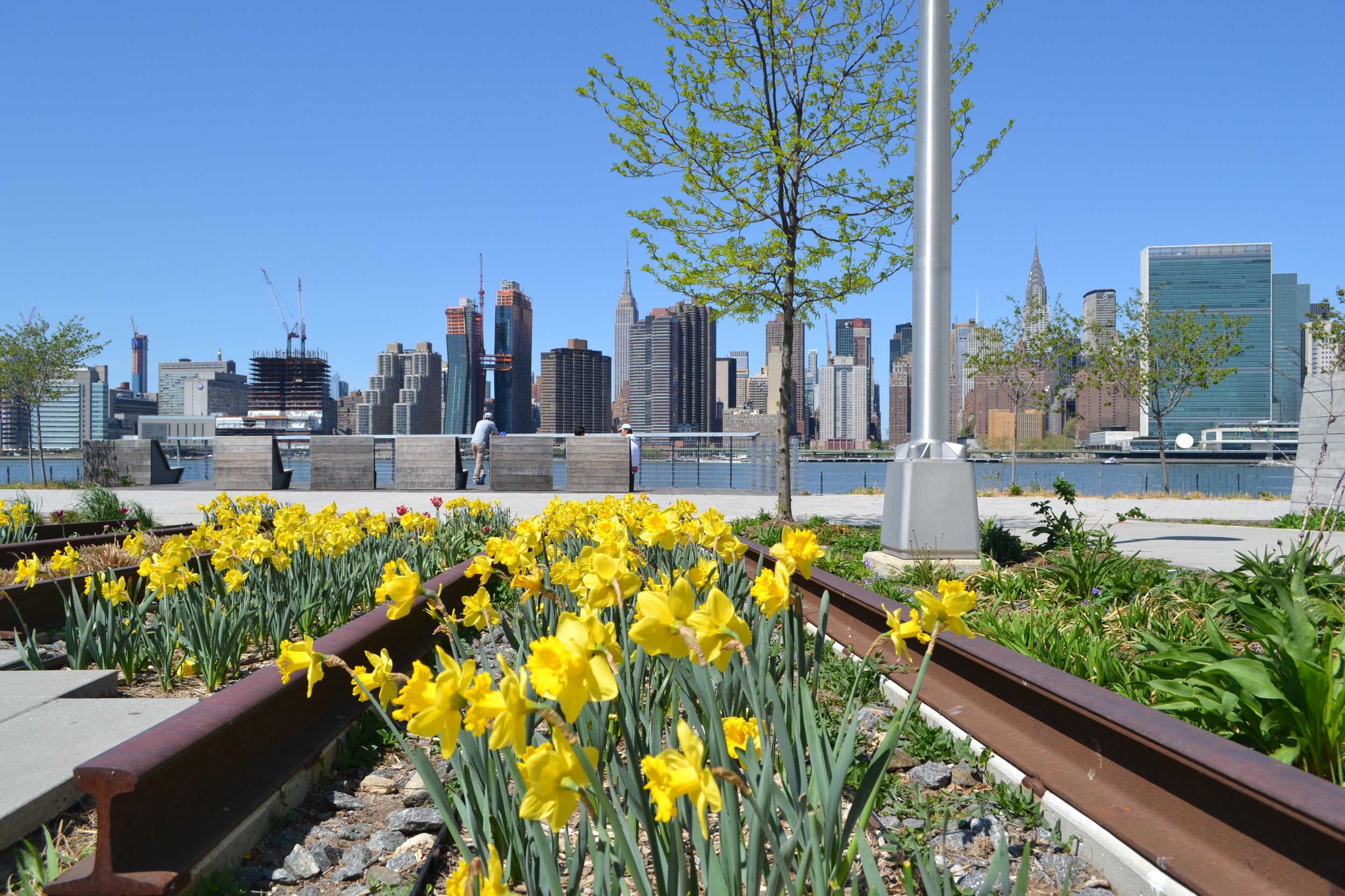 Hunters Point Parks Conservancy