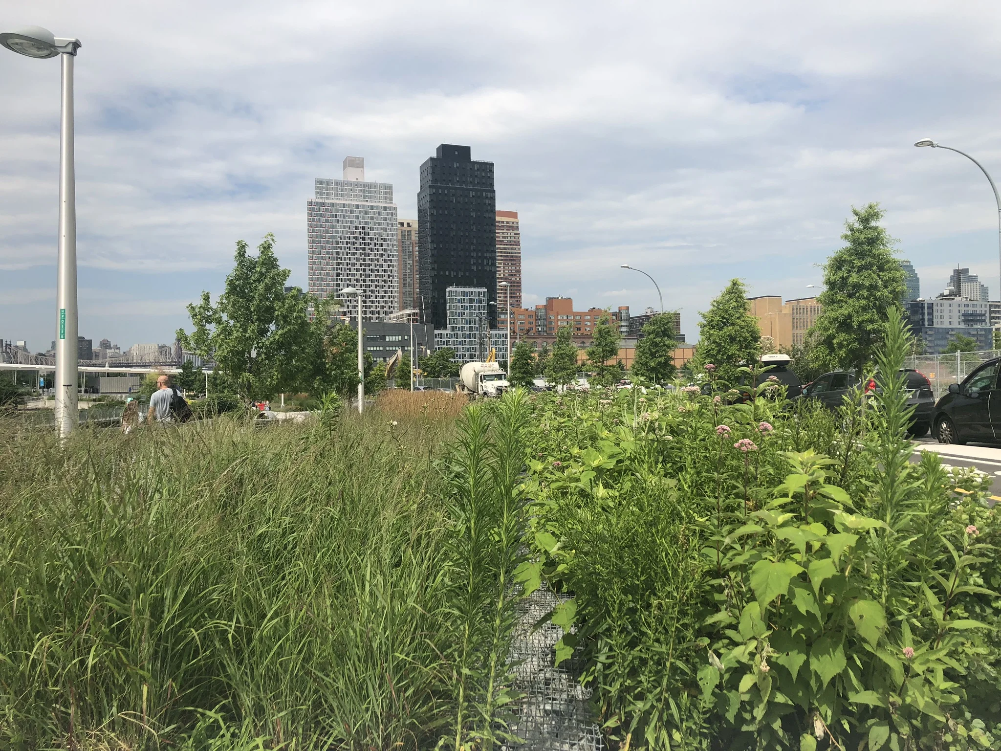 Resilient Design Features — Hunters Point Parks Conservancy