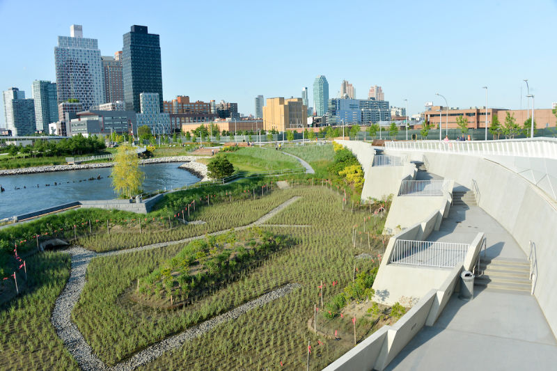 Resilient Design Features — Hunters Point Parks Conservancy