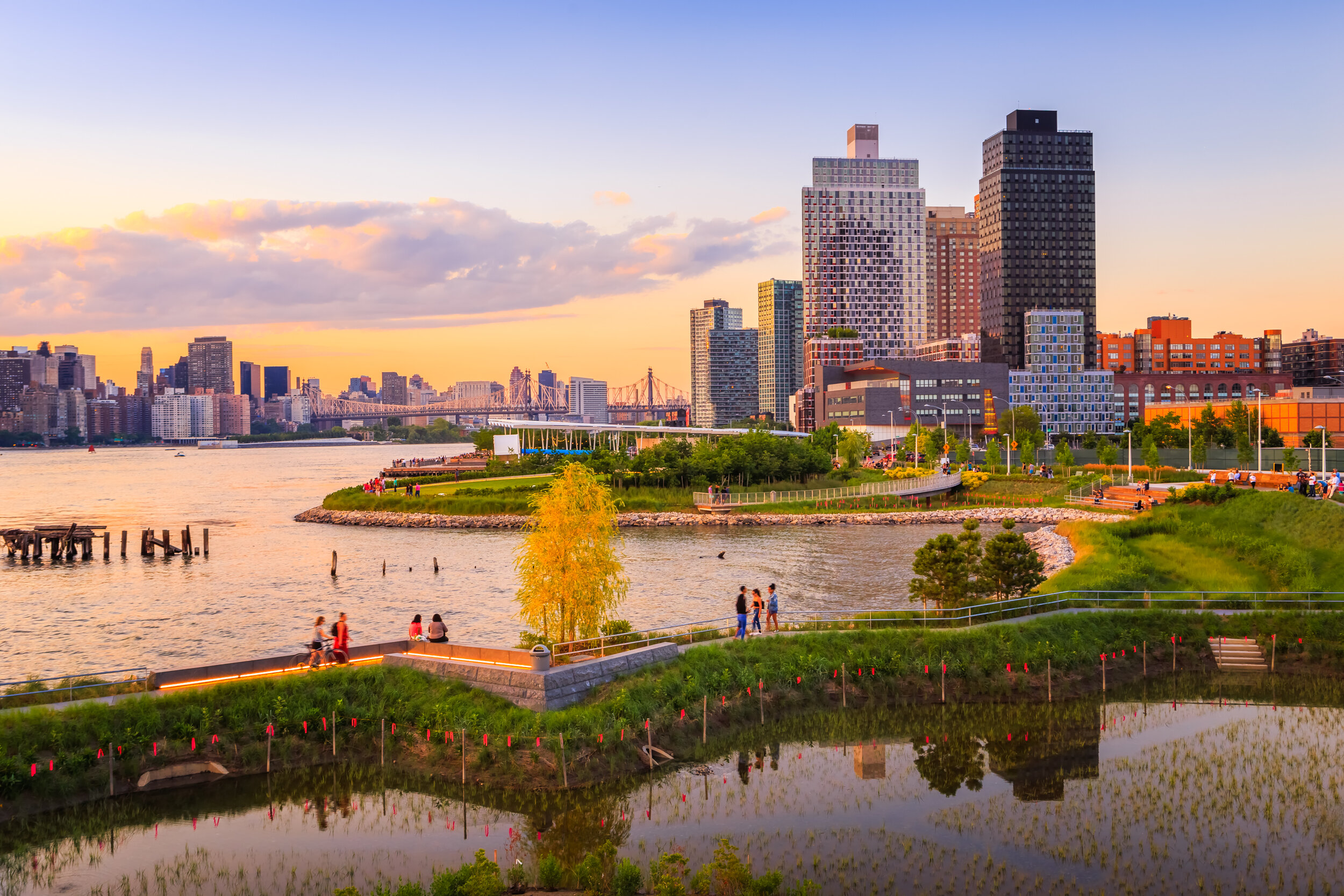 Support — Hunters Point Parks Conservancy