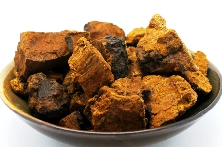 Chaga! Butternut Squash! Soup! (GF, DF, V) — The Realistic Holistic