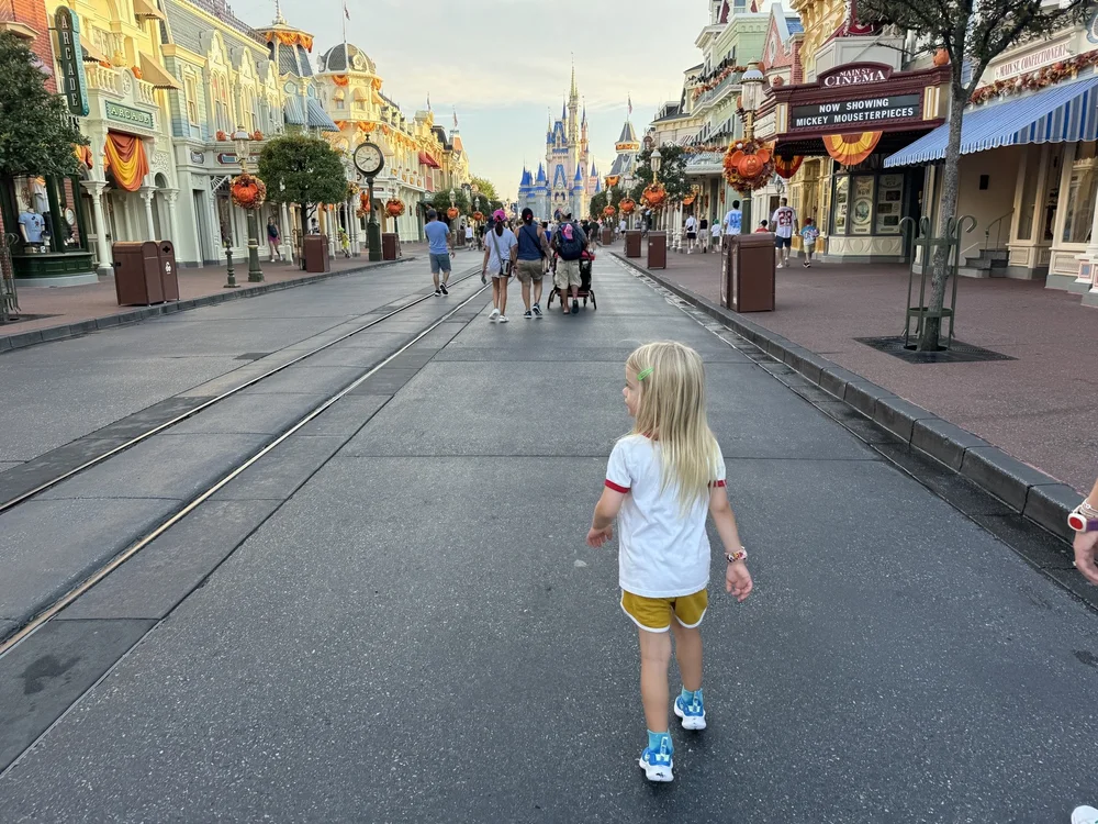 Disney World Lightning Lane Premier Pass Review
