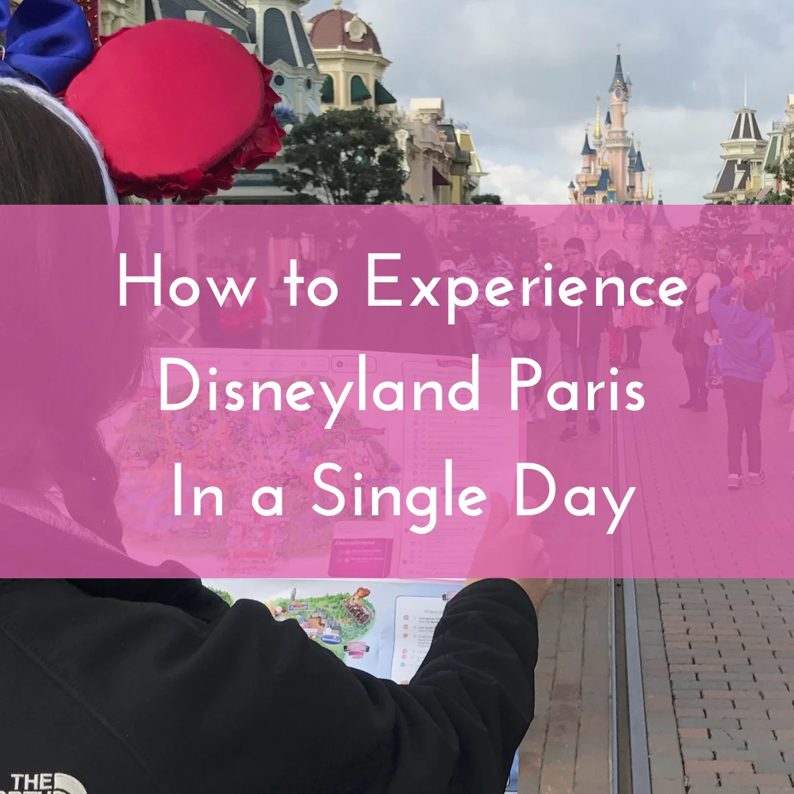 Disneyland Paris - Mouse Hacking