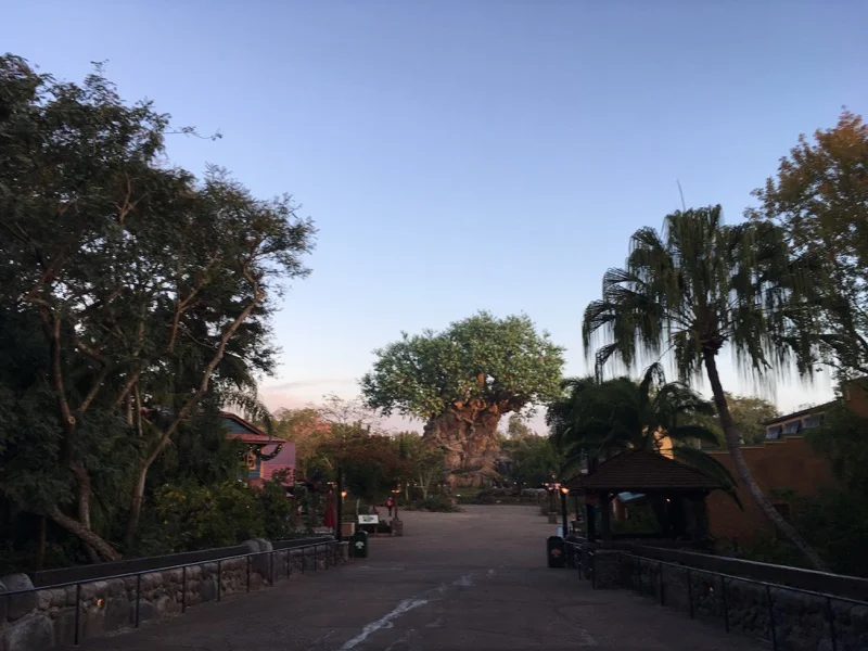 13 Things You Have To Know About Disney's Aulani