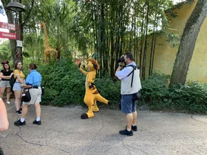Complete Guide to Disney Animal Kingdom Rides & Shows (2026)