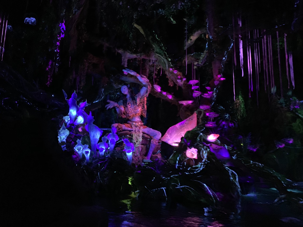 Guide to Pandora - The World of Avatar at Disney World