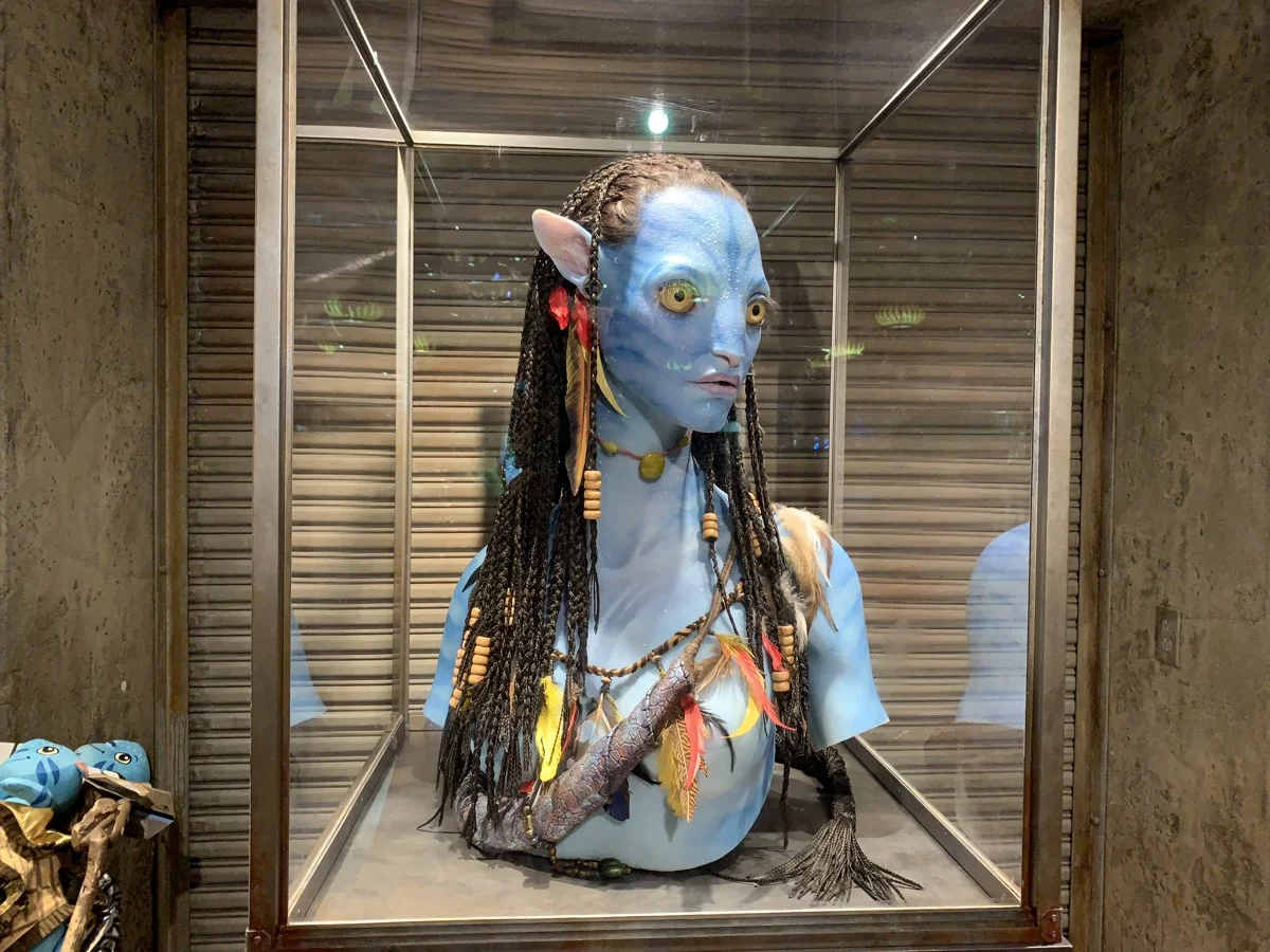 Guide to Pandora - The World of Avatar at Disney World