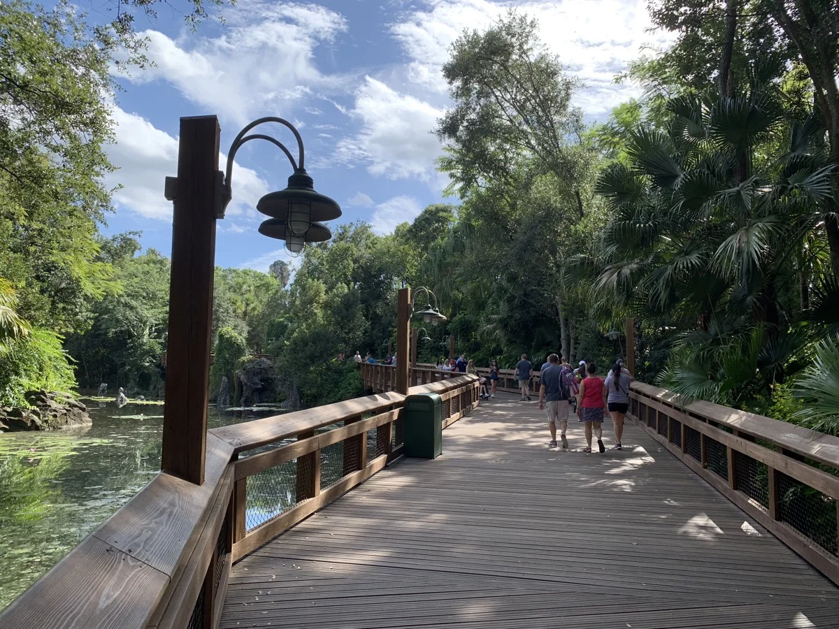 Guide to Pandora - The World of Avatar at Disney World
