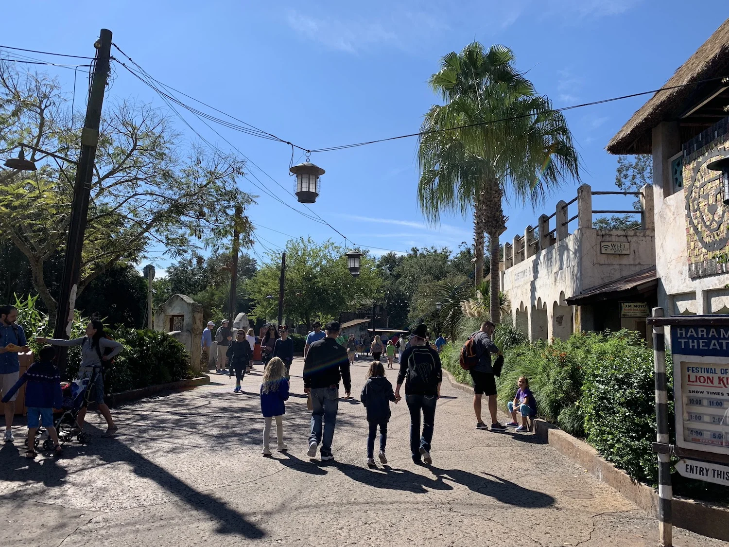 Guide to Pandora - The World of Avatar at Disney World