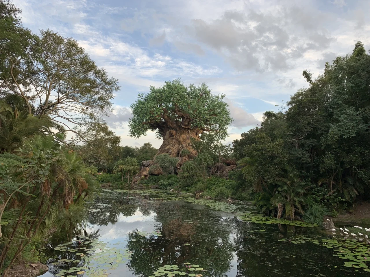 Best Rides For Toddlers At Animal Kingdom Best Rides For Toddlers At Animal Kingdom