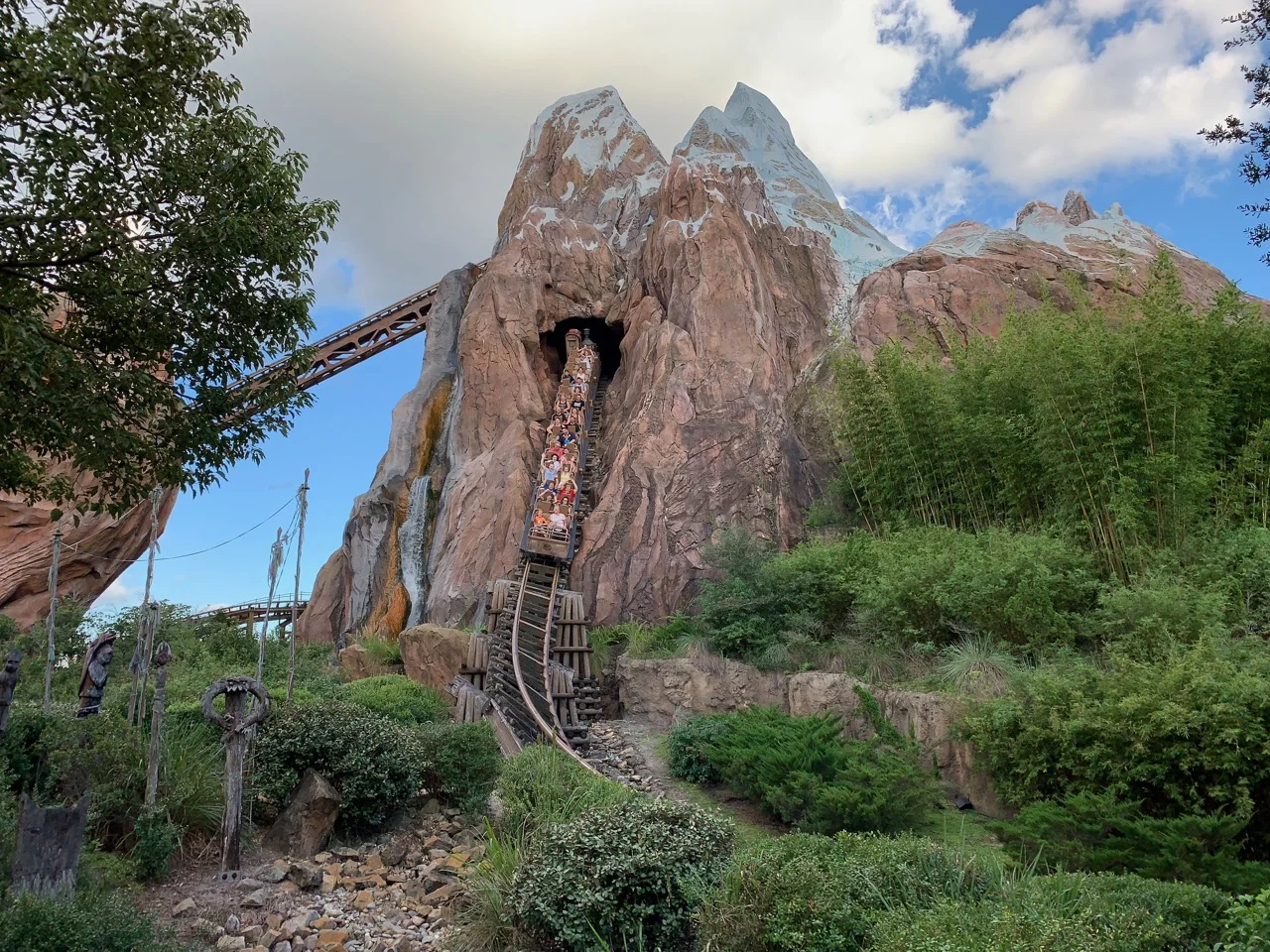 Ranking and Comparing Disney World's Roller Coasters