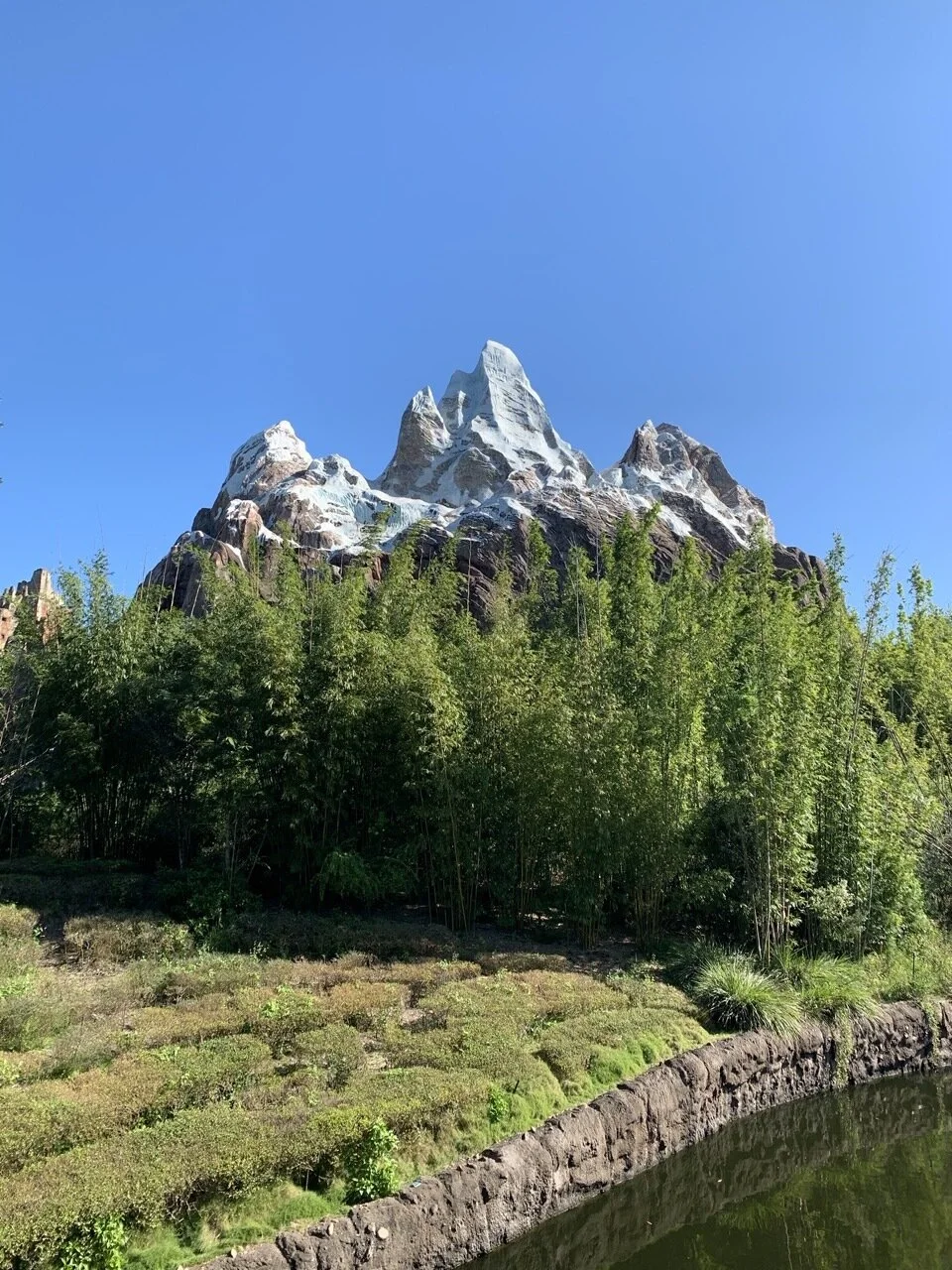 Complete Guide to Single Rider Lines at Disney World