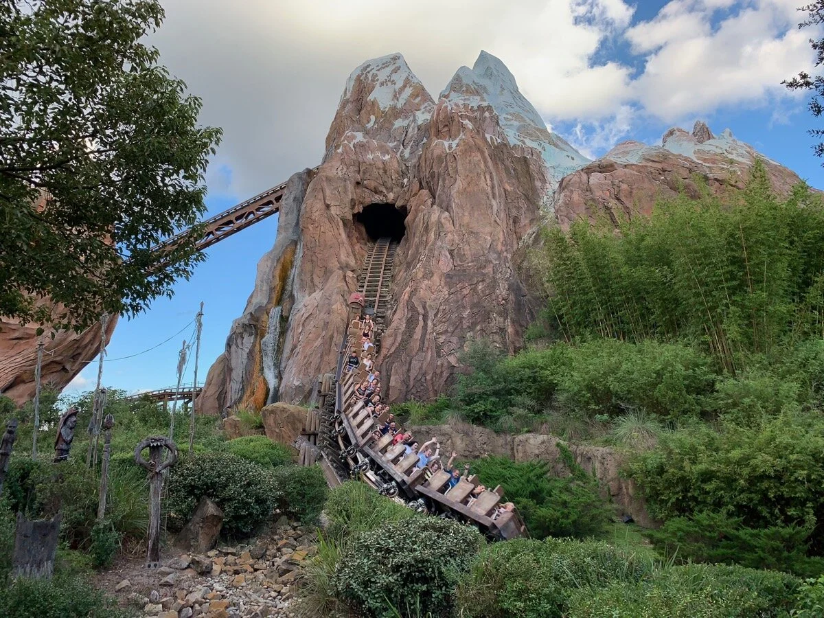 Complete Guide to Single Rider Lines at Disney World