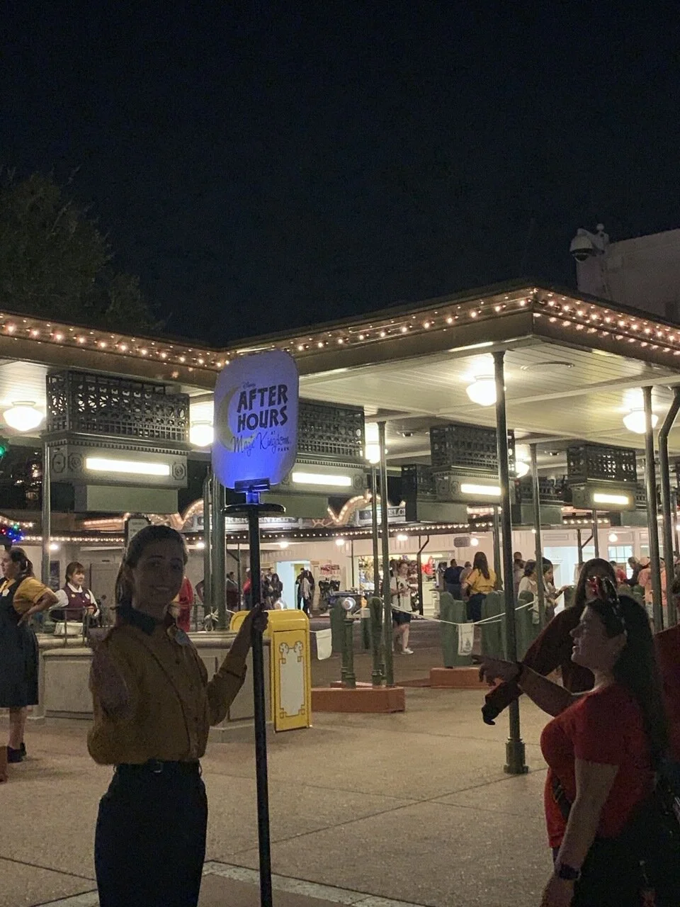 Magic Kingdom After Hours Review