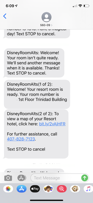Disney World Online Check-In: Process, Pros, and Cons
