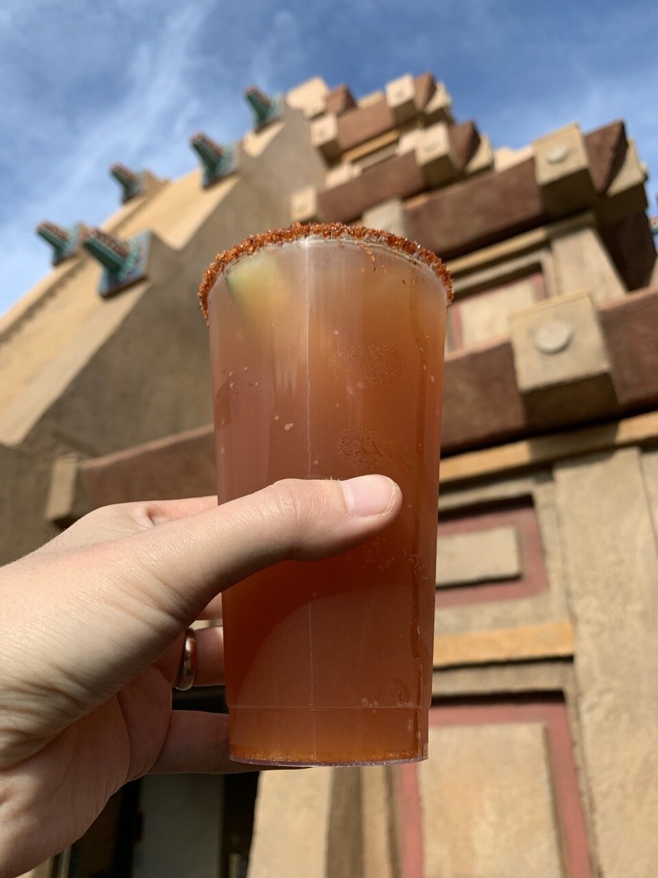 Guide to Epcot for Adults