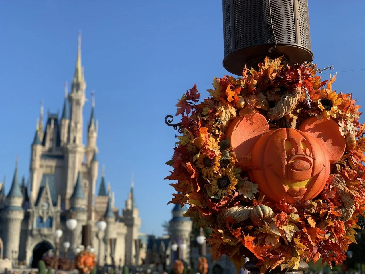 Disney World In October (2025)