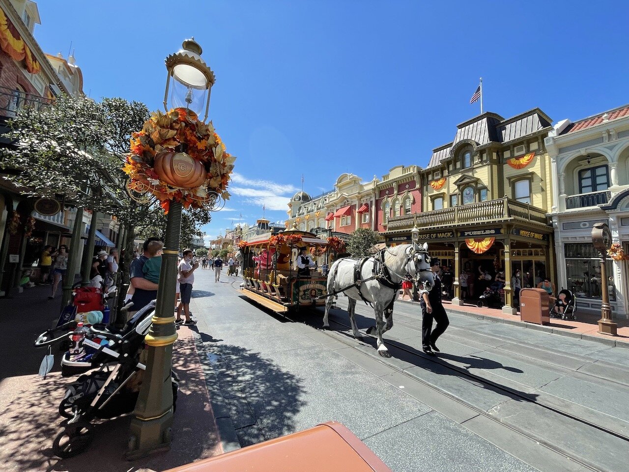 Disney World 50th Anniversary Trip Report (Part 3 - Magic Kingdom and ...
