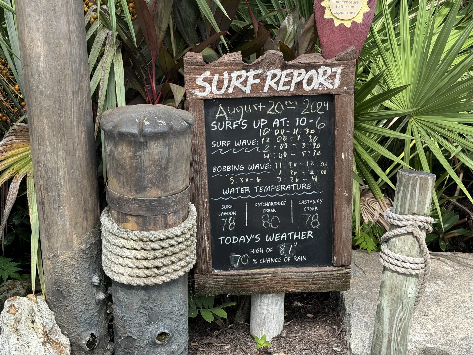 Complete Guide to Disney's Typhoon Lagoon Water Park [Now Open For ...