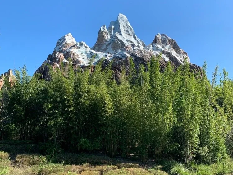 Complete Guide to Single Rider Lines at Disney World