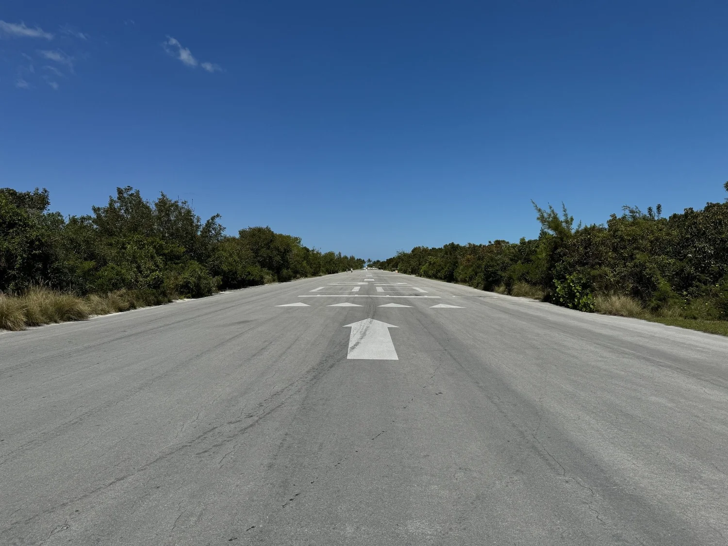 Guide to Running Disney's Castaway Cay 5K [Medal, Routes, Tips]