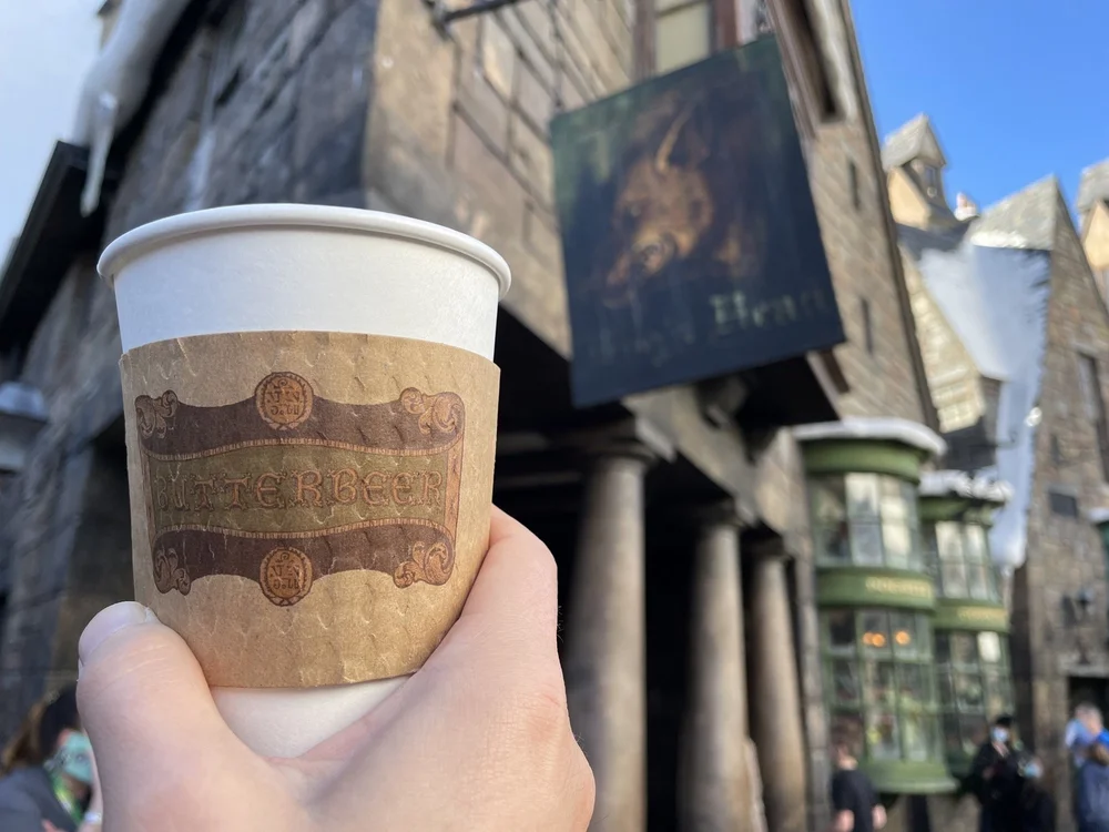 Visiting Harry Potter World from Disney World