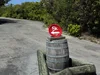 Guide to Running Disney's Castaway Cay 5K [Medal, Routes, Tips]