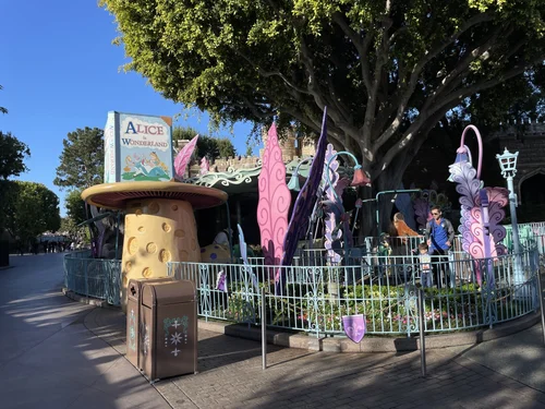Complete Guide to Disneyland Rope Drop