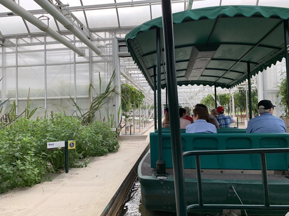 Every Ride at EPCOT Ranked [2025 Updates]