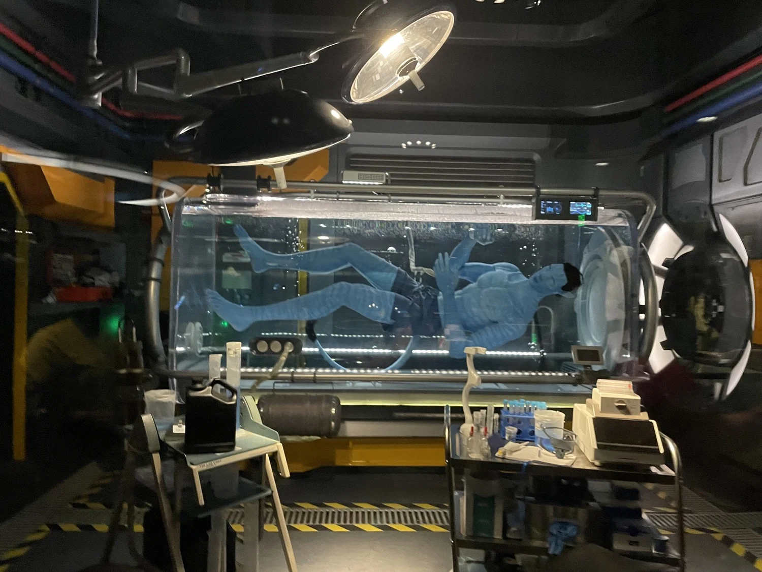 Guide to Avatar Flight of Passage at Animal Kingdom