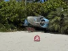 Guide to Running Disney's Castaway Cay 5K [Medal, Routes, Tips]