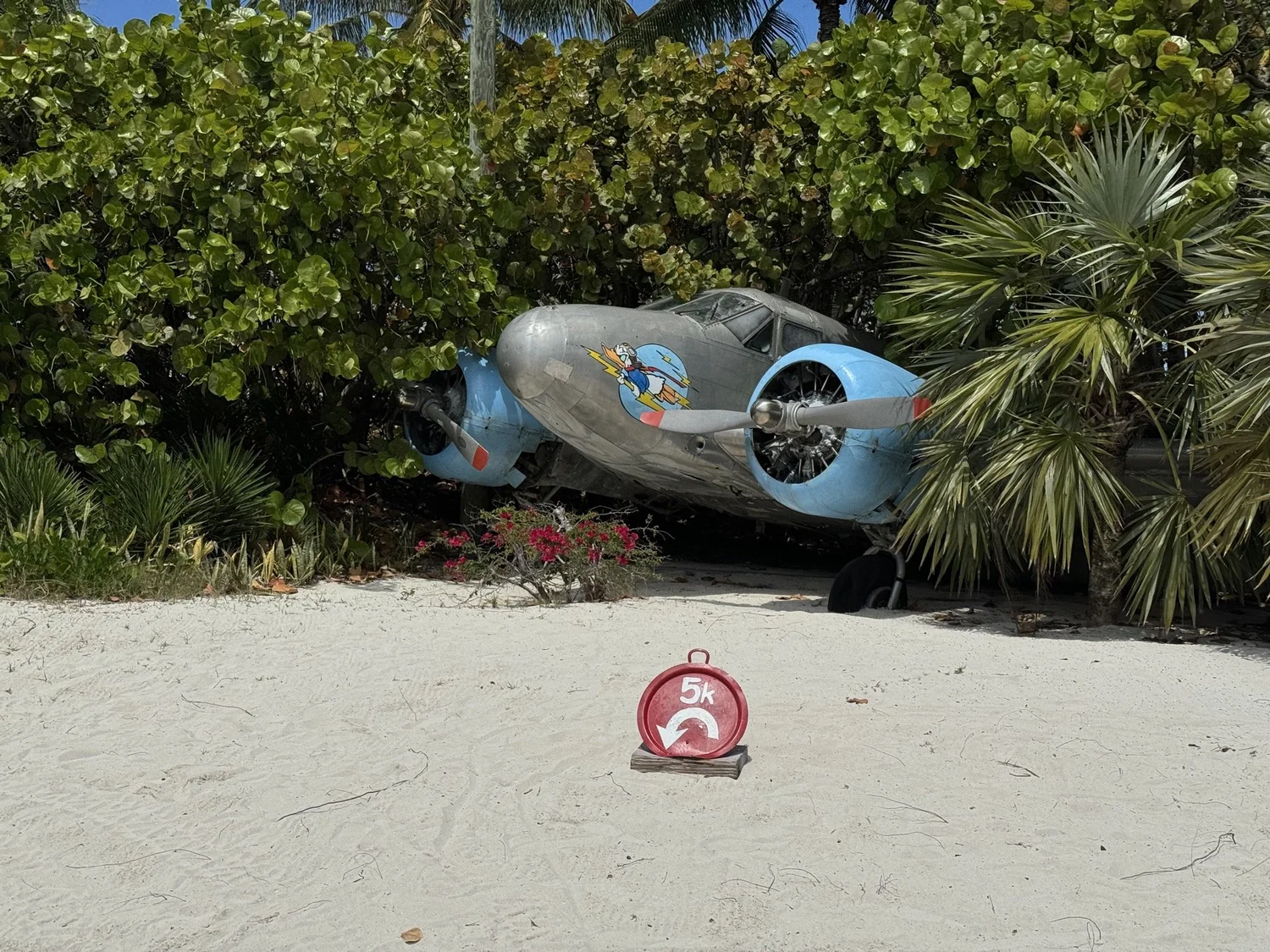 Guide to Running Disney's Castaway Cay 5K [Medal, Routes, Tips]