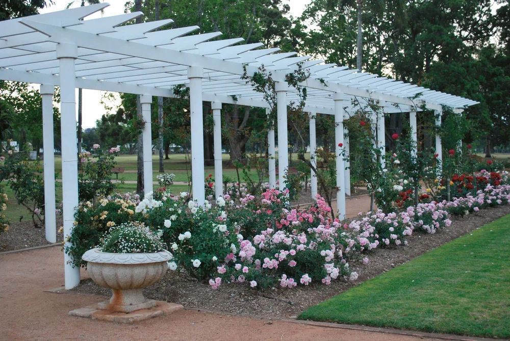 QLD State Rose Garden